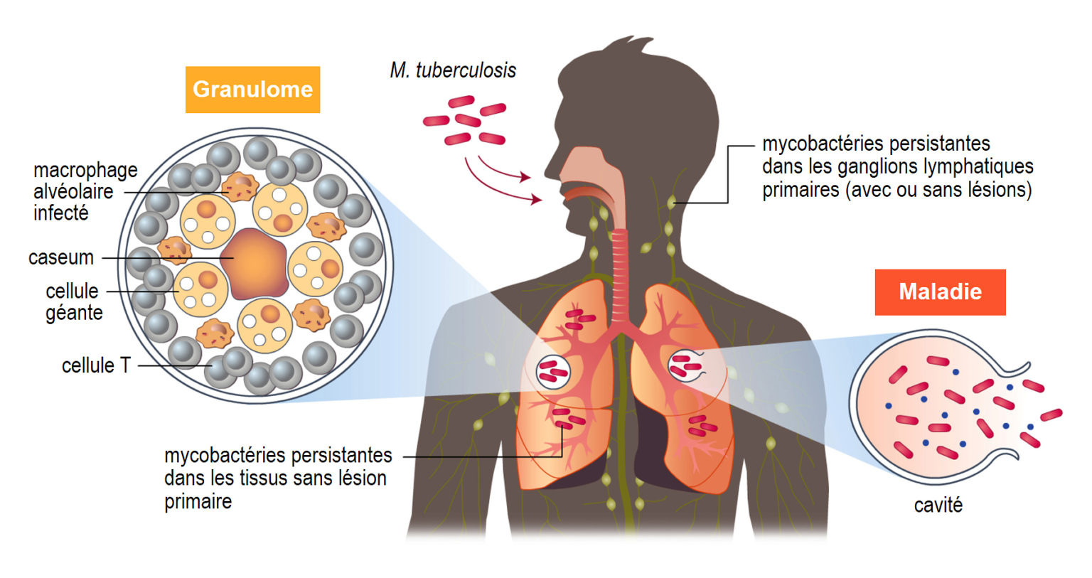 Figures et infographies